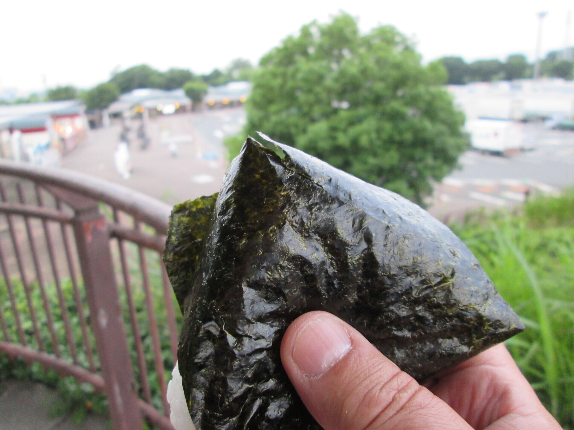 北海道ツーリング2025（東京→新潟→小樽→美瑛）: 天気の良い休日に